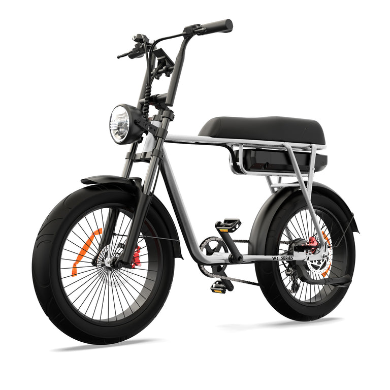 Pinscher W1 Series – Pinscherbikes